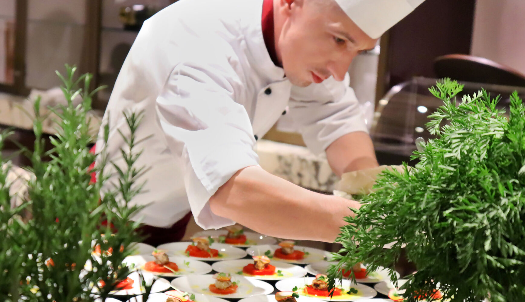 CHCH on the Danube | Amawaterways