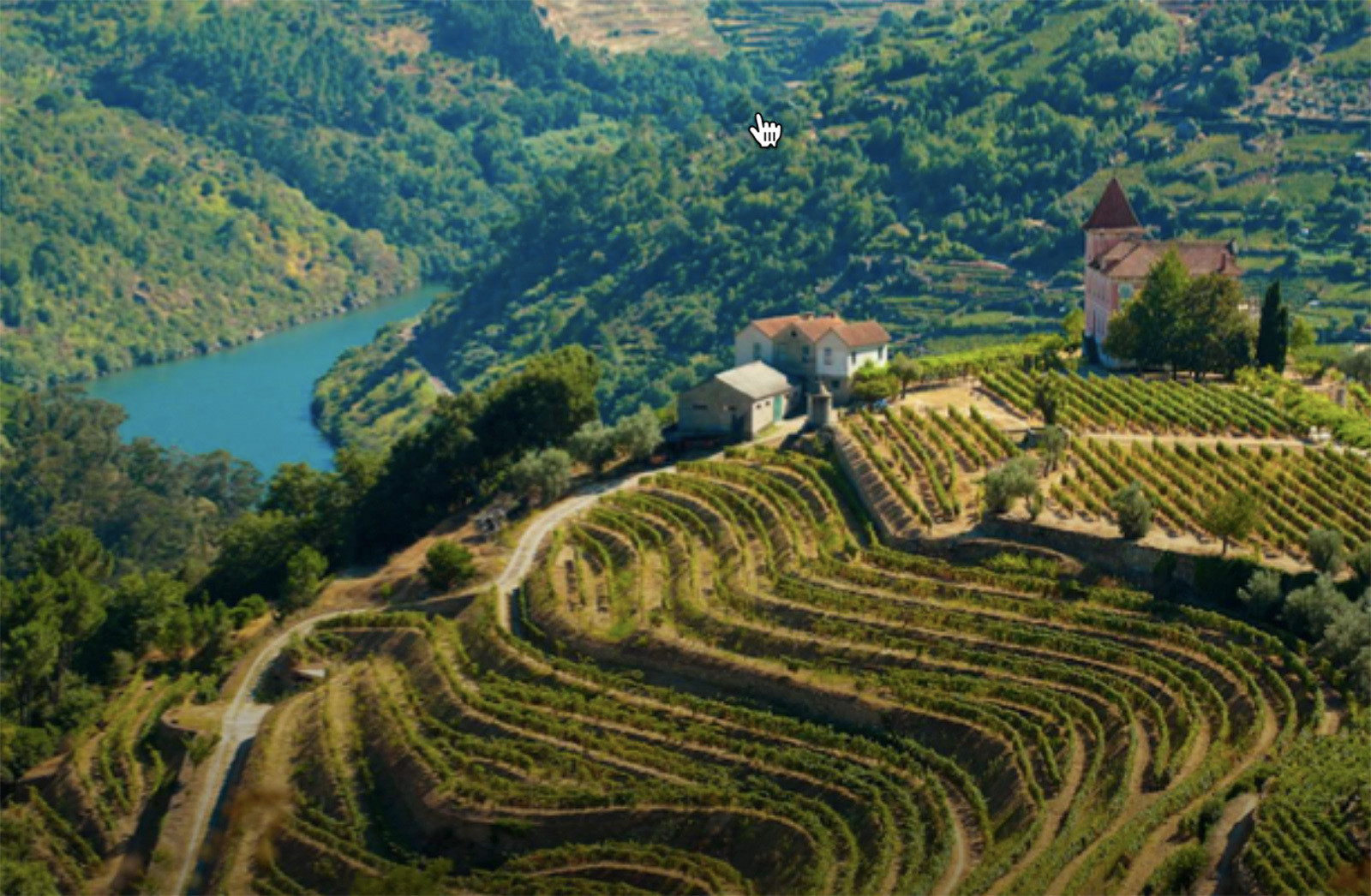 What our friends say